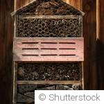 Bouture de kiwi : quand et comment bouturer un kiwi ? | Jardinier du ...